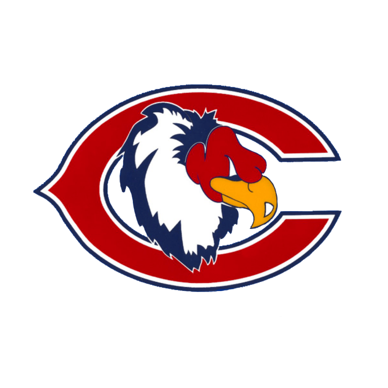 2025-26 Boys Basketball Season Preview Capsules - Chicago Public ...