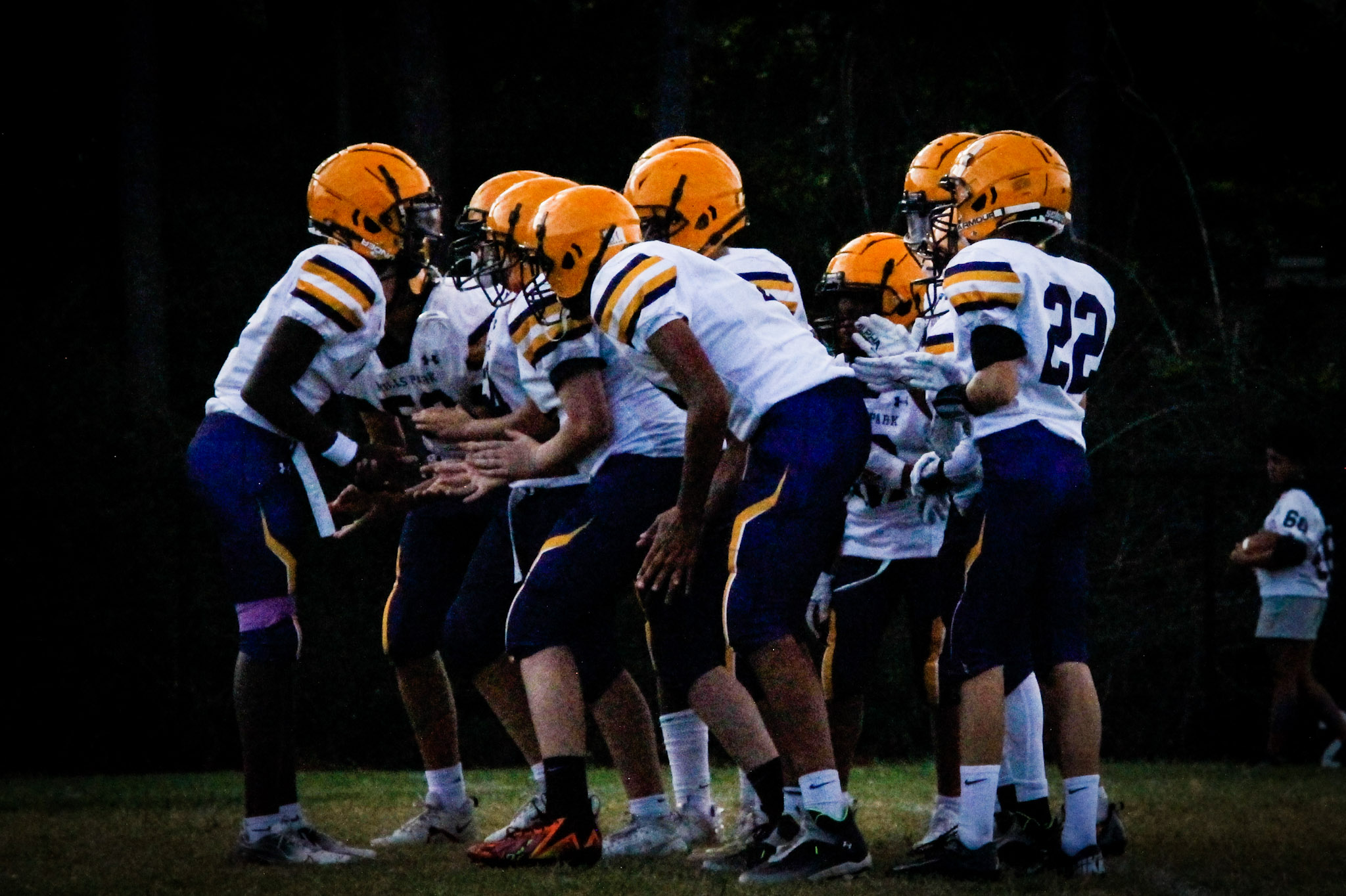 Mills Park Football | Wake County School District Athletics