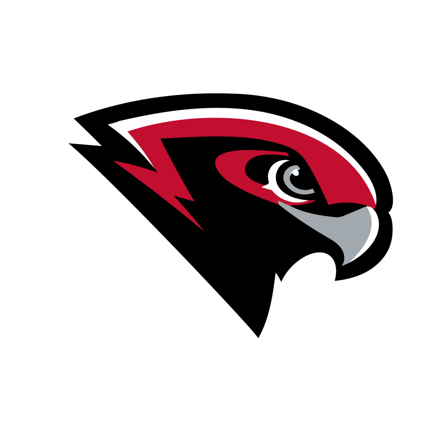 Branding Overview | Red Rock Central School District