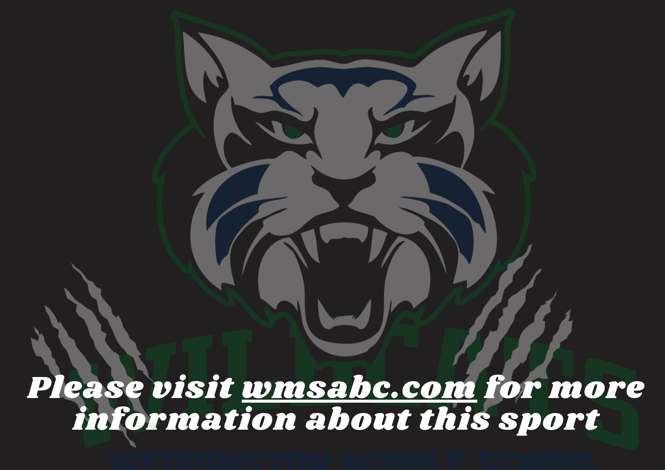 Weddington Cheerleading | Union County Public Schools