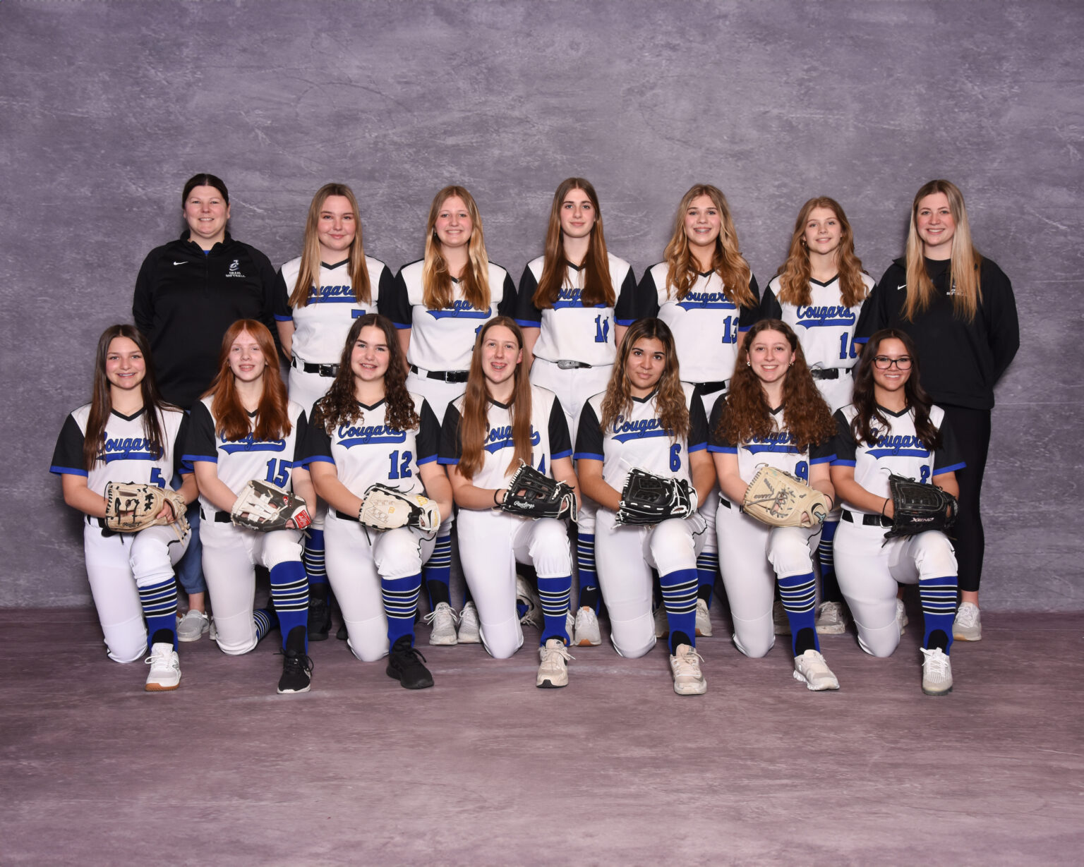 Softball | Craig High School (WI)