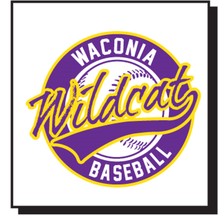 Baseball | Waconia Community Education and Recreation