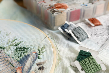 US Needlework | Nova Classical Academy (MN)